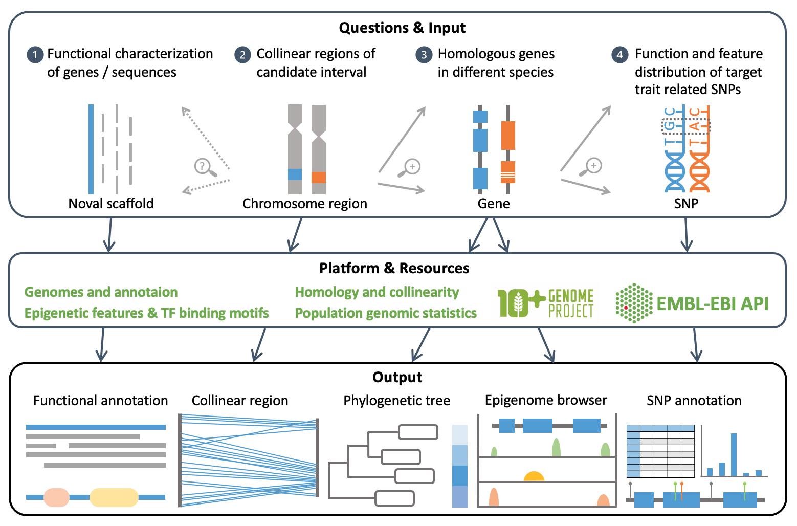GitHub - fei0810/Triti-Map: A Snakemake-based pipeline for gene mapping in Triticeae.